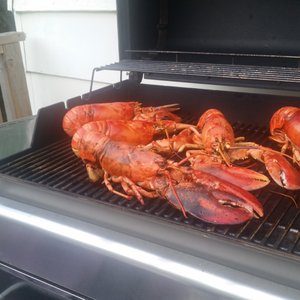 RYER’S LOBSTERS - 57 Photos & 32 Reviews - 8494 Peggys Cove Road ...