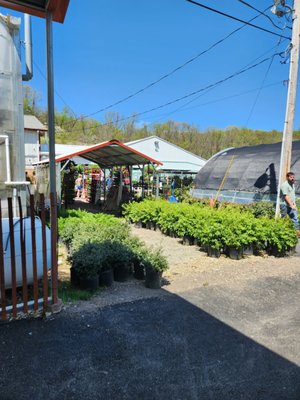 380 AUCTION DISCOUNT WAREHOUSE - Updated August 2024 - 61 Photos & 21 ...