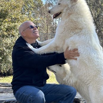 SEACREST WOLF PRESERVE - Updated June 2025 - 122 Photos & 72 Reviews ...