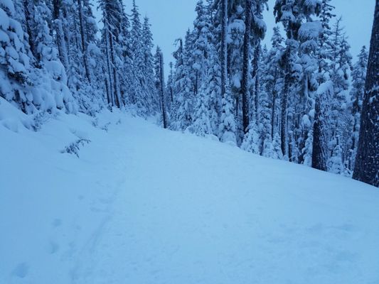 BENNETT PASS SNOWPARK - Natl Forest Develop Road 3550 Rd, Mount Hood ...