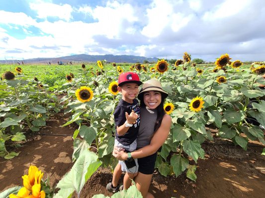 ALOUN FARMS - Updated November 2024 - 858 Photos & 167 Reviews - 91 ...