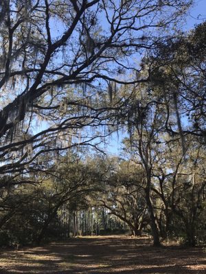 SPLIT OAK FOREST - 52 Photos & 12 Reviews - 12901 Moss Park Rd, Orlando ...