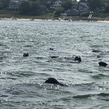 BEACHCOMBER BOAT TOURS - Updated October 2025 - 18 Photos & 23 Reviews ...