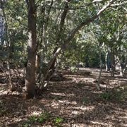 WILLIAM HEISE COUNTY PARK - 249 Photos & 145 Reviews - 4945 Heise Park ...