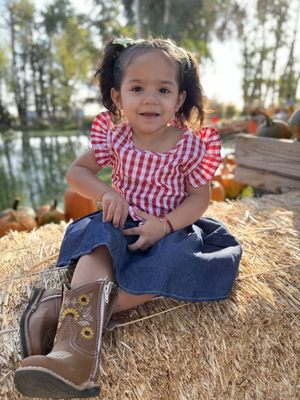 BANDUCCI’S FAMILY PUMPKIN PATCH - Updated October 2025 - 82 Photos & 58 ...
