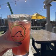 THOMPSON ISLAND BREWING COMPANY - 343 Photos & 159 Reviews - 30133 ...