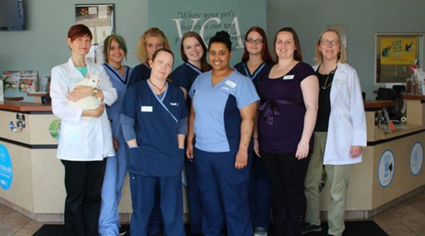 Vca Animal Hospital Allen Park