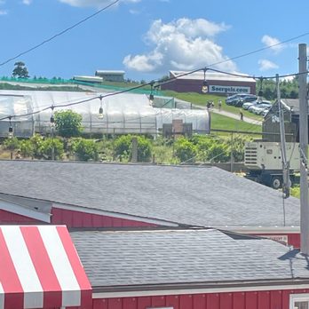 SOERGEL ORCHARDS & GARDEN CENTER - Updated October 2024 - 342 Photos ...