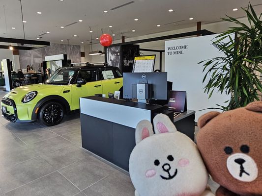 MINI OF HAWAII - Updated June 2026 - 190 Photos & 321 Reviews - 367 ...