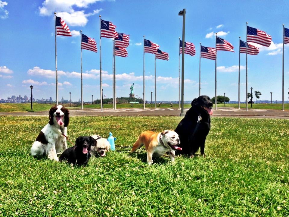 METRO DOGS - Updated October 2024 - 11 Photos - Jersey City, New Jersey ...