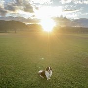 PATSY T. MINK CENTRAL OAHU REGIONAL PARK - 472 Photos & 96 Reviews - 94 ...