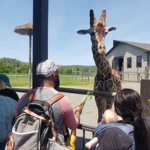LAKE TOBIAS WILDLIFE PARK - 332 Photos & 100 Reviews - 760 Tobias Rd ...