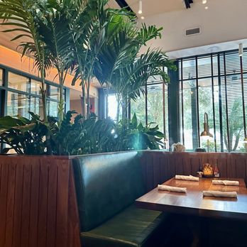 BALBOA SURF CLUB - Updated August 2025 - 442 Photos & 168 Reviews ...