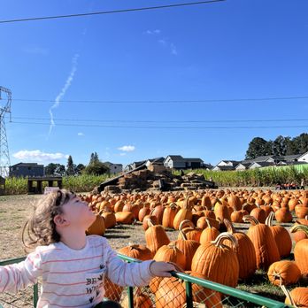 YESTERYEAR FARMS - Updated October 2025 - 205 Photos & 130 Reviews ...