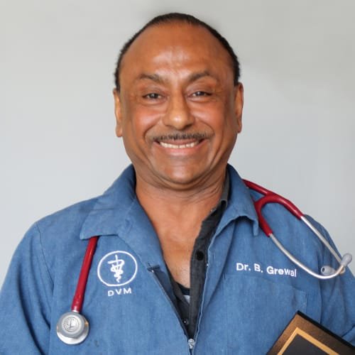 BALJIT GREWAL, DVM - VALENCIA VETERINARY CENTER - Updated July 2025 ...