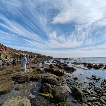 POINT LOMA TIDE POOLS - Updated October 2025 - 965 Photos & 138 Reviews ...