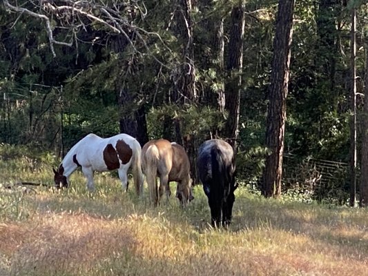 ROBERT TURNEY - CENTURY 21 - Updated June 2025 - 111 Main St ...