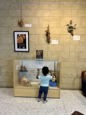 GEORGETOWN PUBLIC LIBRARY - Updated December 2025 - 78 Photos & 29 ...