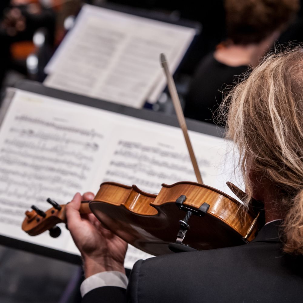 MARIN SYMPHONY - Updated May 2026 - 31 Photos - 4340 Redwood Highway ...