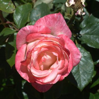 TONY HILLERMAN LIBRARY - Updated October 2025 - 83 Photos & 12 Reviews ...