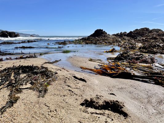 LIMANTOUR BEACH - Updated July 2024 - 264 Photos & 82 Reviews - Point ...