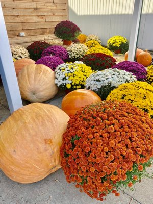 WAY FRUIT FARM - Updated November 2024 - 68 Photos & 42 Reviews - 2355 ...