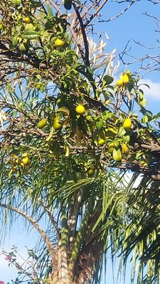 TREELAND NURSERIES - Updated December 2025 - 65 Photos & 80 Reviews ...