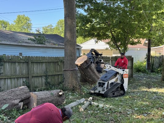 ANYTOWN TREE SERVICE - Updated May 2026 - 43 Photos & 12 Reviews - 2914 ...