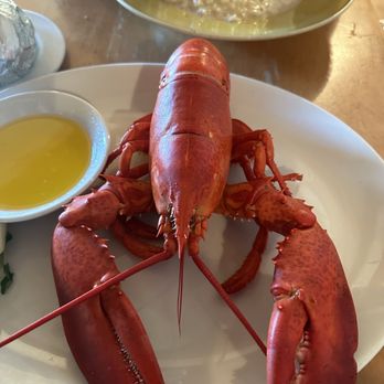 LOBSTA LAND - Updated June 2025 - 286 Photos & 502 Reviews - 84 ...