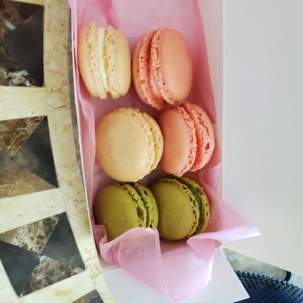 LE MACARON TYRONE SQUARE ST PETERSBURGH - Updated February 2025 - 6901 ...