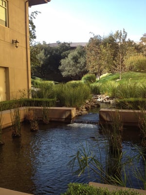 DREAMWORKS ANIMATION STUDIO - Updated August 2024 - 43 Photos & 14 ...