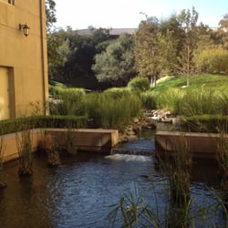 DREAMWORKS ANIMATION STUDIO - 43 Photos & 14 Reviews - 1000 Flower St ...
