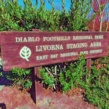 DIABLO FOOTHILLS REGIONAL PARK - Updated January 2026 - 244 Photos & 45 ...