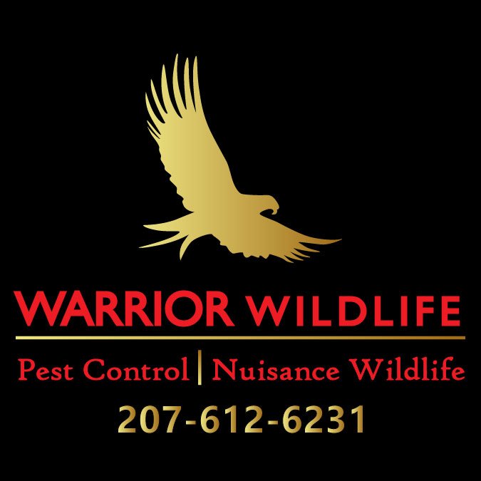 WARRIOR WILDLIFE - Updated July 2025 - Request a Quote - Athens, Maine ...