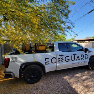 GREEN MANGO PEST CONTROL - Updated August 2025 - 160 Photos & 651 ...