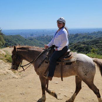 SUNSET RANCH HOLLYWOOD STABLES - Updated April 2025 - 1332 Photos & 896 ...