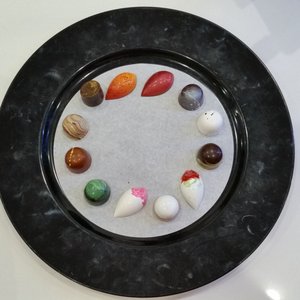 THE CHOCOLATE LAB - 47 Photos & 21 Reviews - 4-21 Highfield Circle SE ...