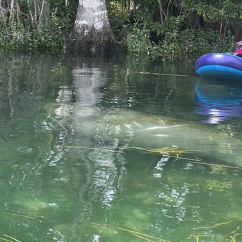 CRYSTAL RIVER KAYAK COMPANY - 214 Photos & 188 Reviews - 1422 SE Us Hwy ...