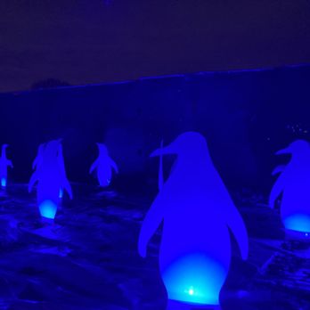 CAMERON RUN REGIONAL PARK - Updated December 2025 - 134 Photos & 64 ...