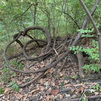 BOONE CLIFFS STATE NATURE PRESERVE - Updated December 2025 - 59 Photos ...