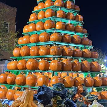 CIRCLEVILLE PUMPKIN SHOW - Updated February 2025 - 285 Photos & 75 ...
