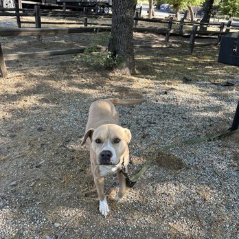 KQ RANCH - Updated December 2024 - 523 Photos & 265 Reviews - 449 Kq ...