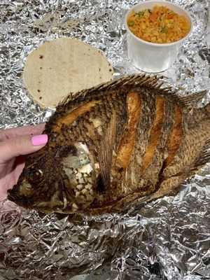 BAJA RANCH MARKET - Updated November 2024 - 50 Photos & 92 Reviews ...