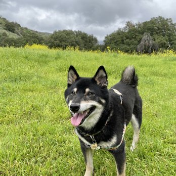 SAN DIMAS CANYON PARK - Updated December 2025 - 98 Photos & 31 Reviews ...