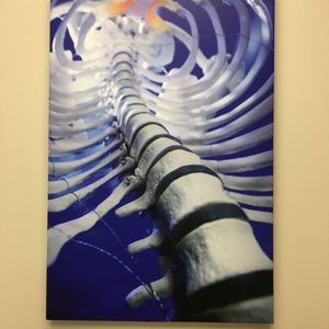 PAUL SHONNARD, MD - NEVADA ORTHOPEDICS - Updated January 2025 - 16 ...