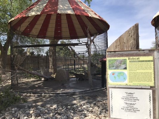 SPRING RIVER PARK AND ZOO - Updated September 2025 - 72 Photos & 28 ...