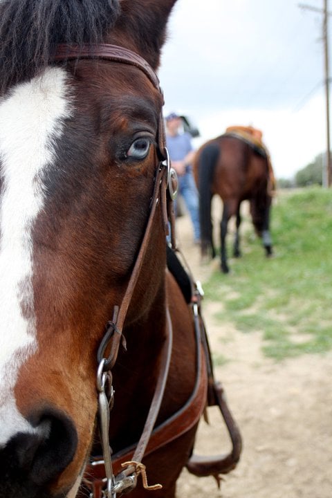TLC RANCH - Updated June 2025 - 25 Photos - 10455 Stockton Rd, Moorpark ...