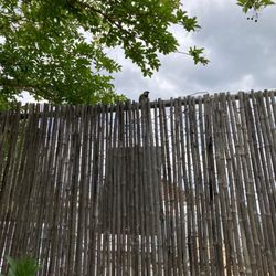 Best Pie Bakeries Near Me - April 2024: Find Nearby Pie Bakeries ...