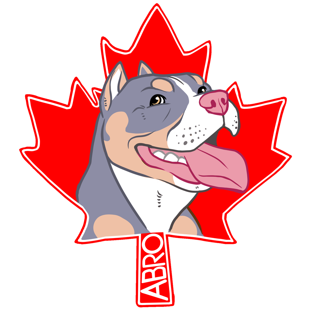 AMERICAN BULLY RESCUE - Updated January 2026 - Request Information - 9 ...