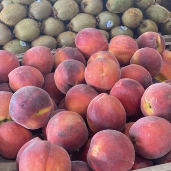 NELSON FAMILY FARMS - Updated April 2025 - 140 Photos & 96 Reviews ...